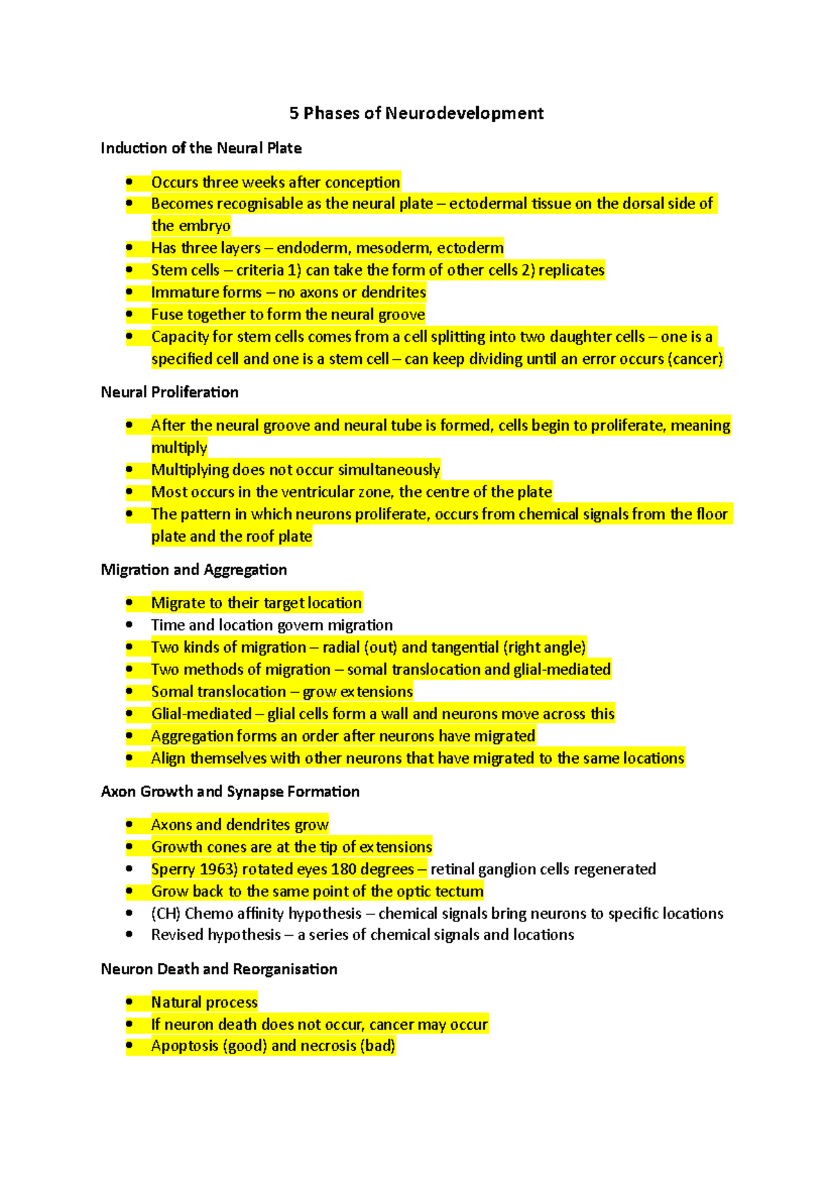 5 Phases of Neurodevelopment - 5 Phases of Neurodevelopment Induction ...