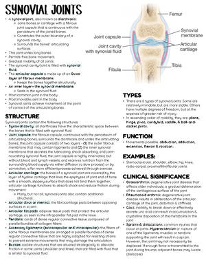 Joints Flashcards - Anatomy - a connection between two bones; aka ...
