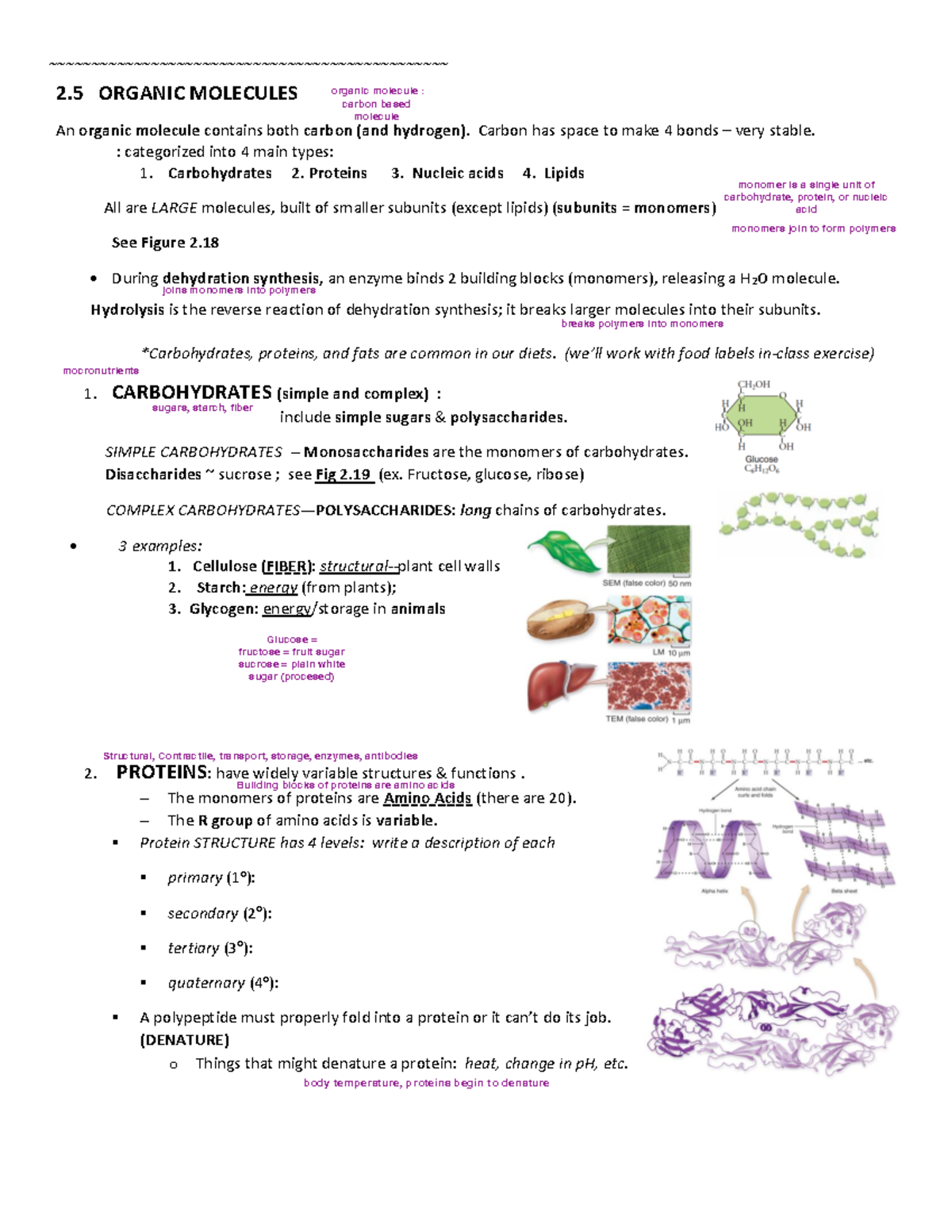 Chap 2 completed Pg 2 ...