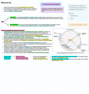 Parto instrumentado ginecología - Son partos vaginales realizados con ...