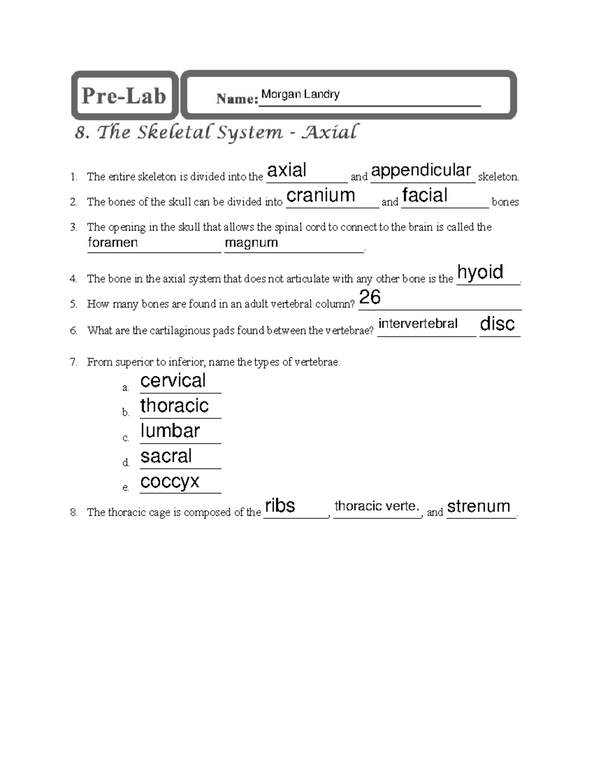 Lab 8 - lab work - The entire skeleton is divided into the ...