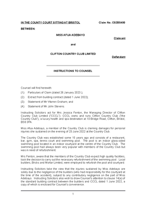 Application for Strike out and Summary Judgment - IN THE COUNTY COURT ...