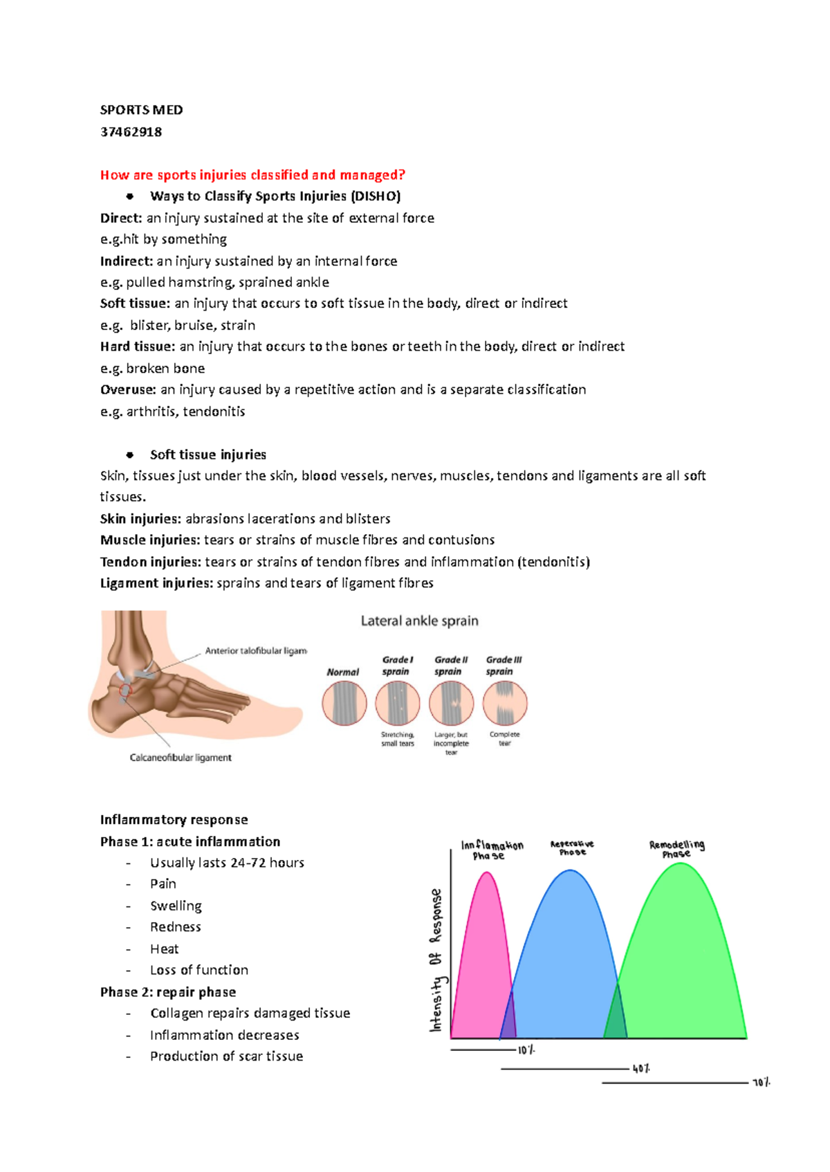 Sports med - pdhpe - SPORTS MED 37462918 How are sports injuries ...