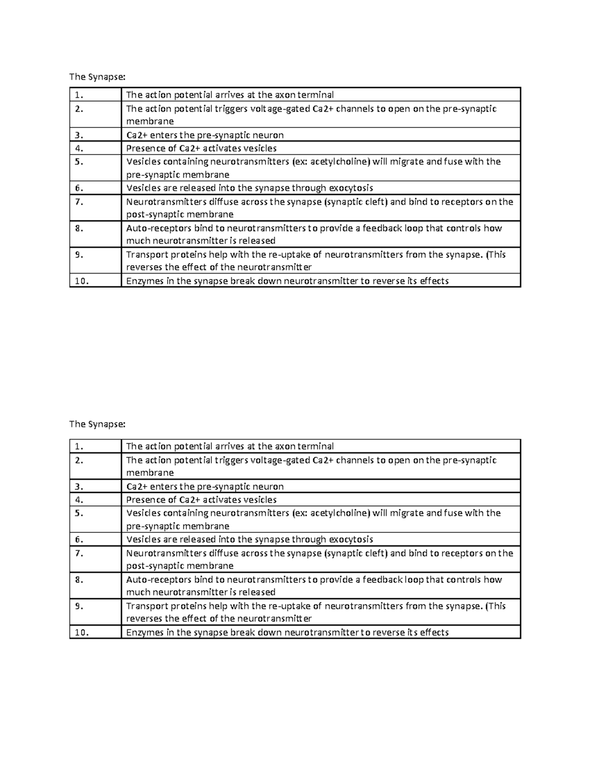 Synapse foldable answers - The Synapse: The Synapse: 1. The action ...