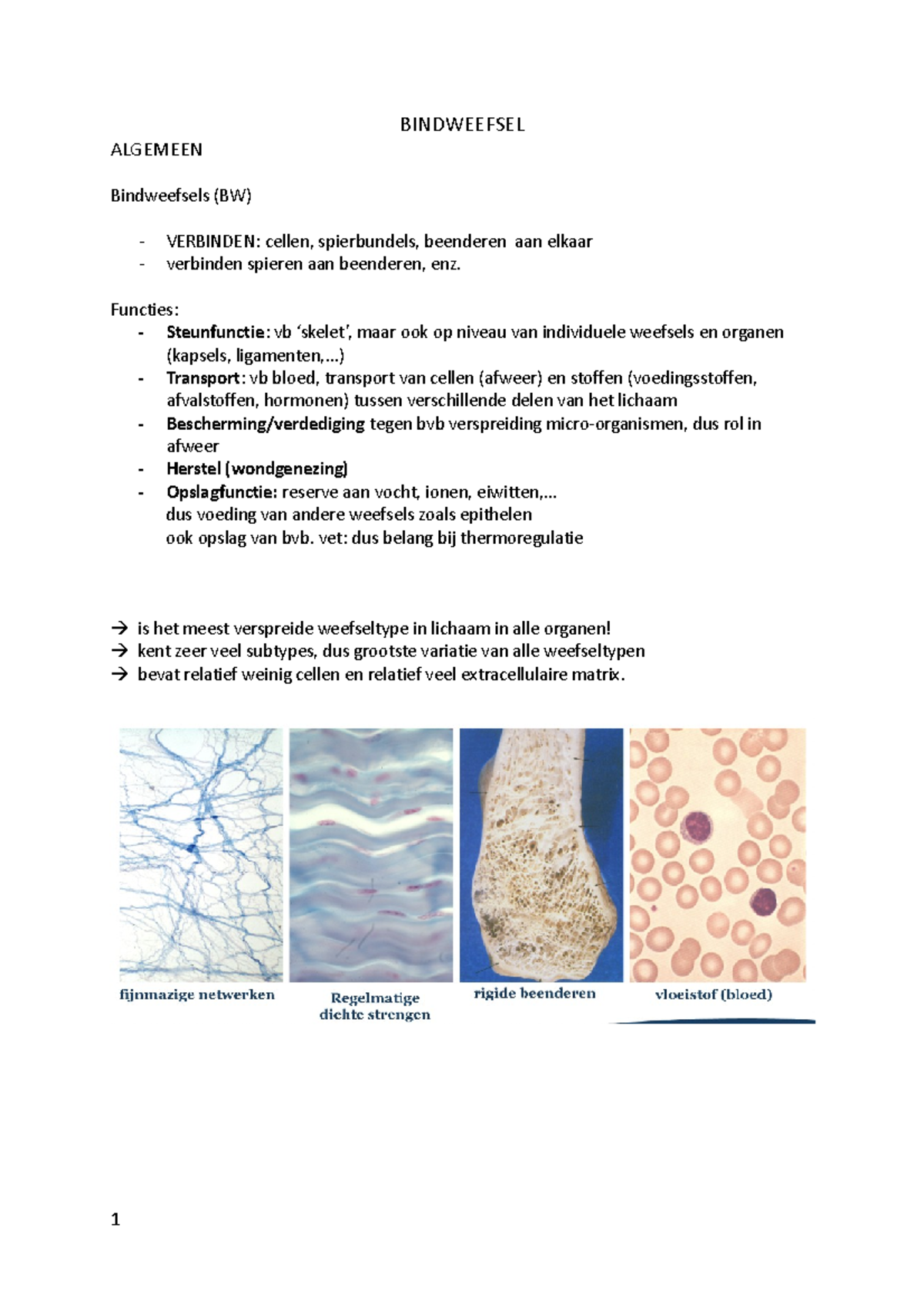 Bindweefsel - BINDWEEFSEL ALGEMEEN Bindweefsels (BW) - VERBINDEN ...