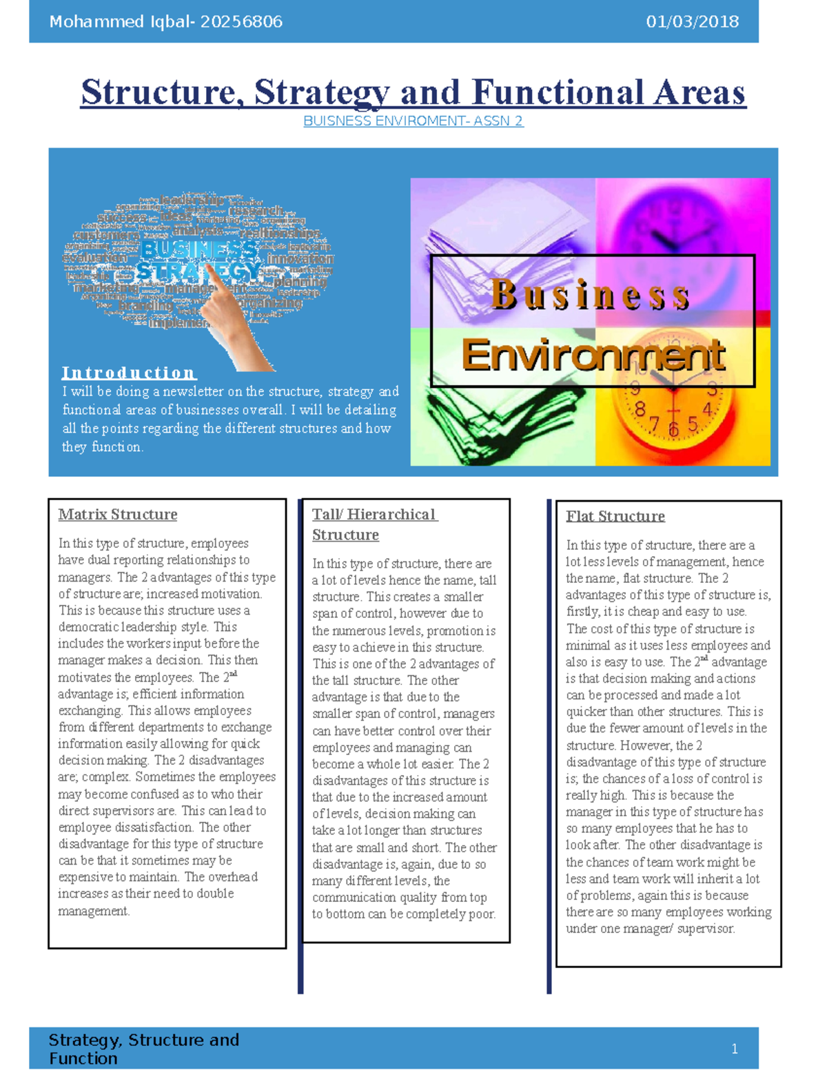 Assn 2- Newsletter - coursewokr - Structure, Strategy and Functional ...