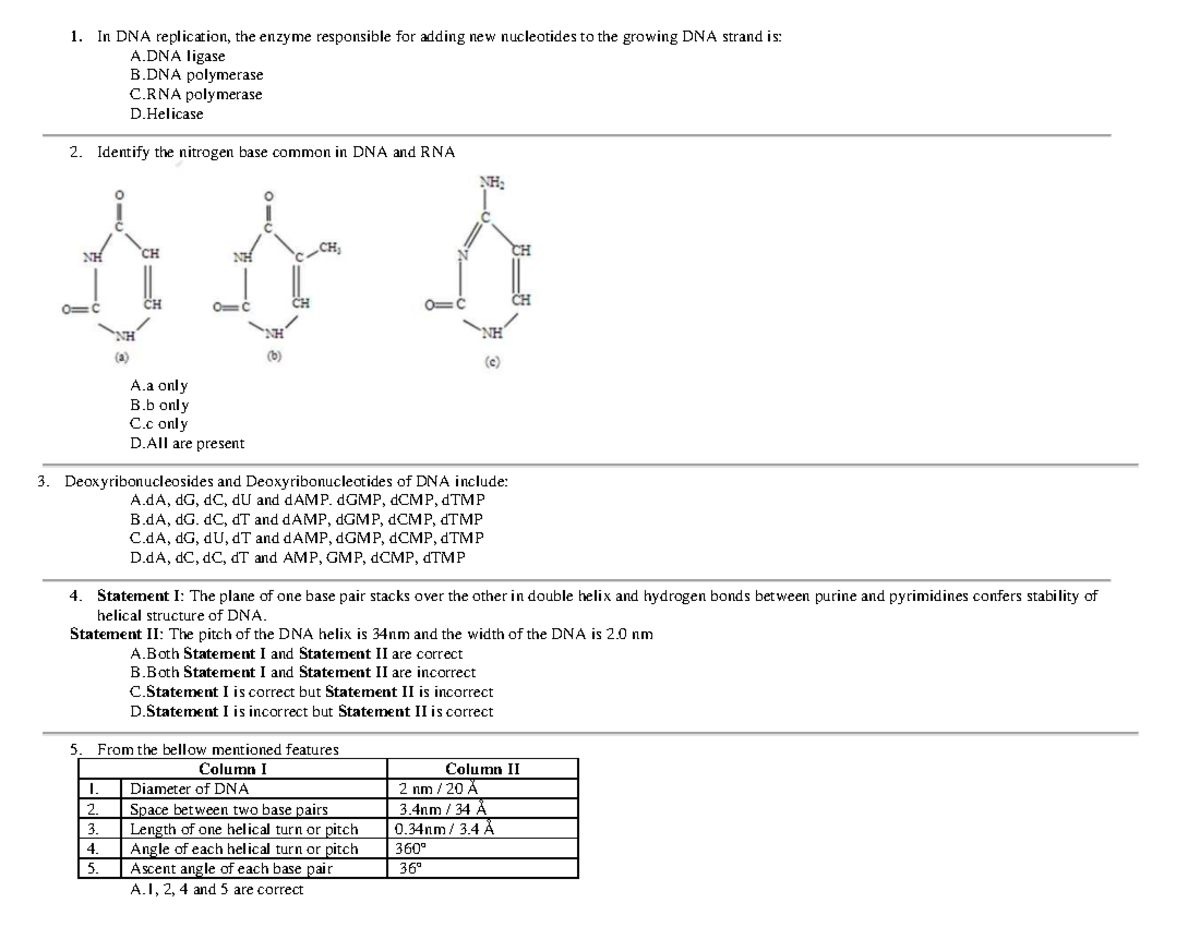 Molecular Biology - Revision Qs - In DNA replication, the enzyme ...