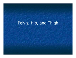 Foot - Foot - Knee Evaluation Review of the basics • Tibiofemoral Joint ...