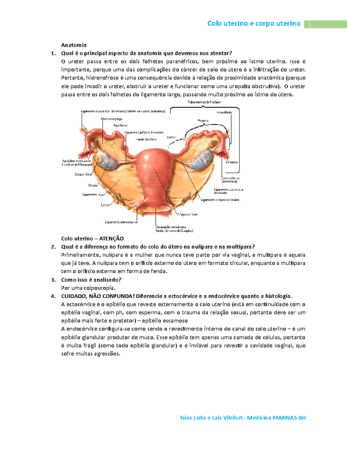 Patologia medica 3 - 2 etapa - Colo uterino e corpo uterino Anatomia 1 ...