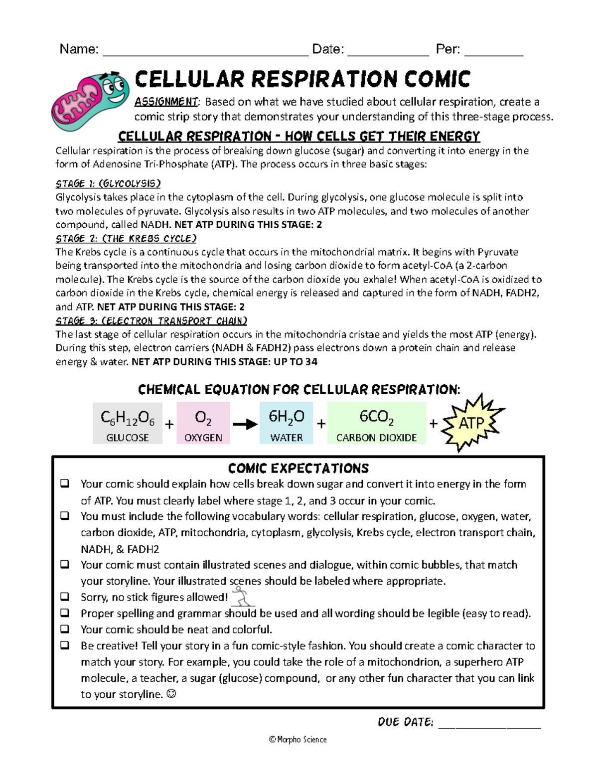 Cellular+Respiration+Comic+Project+Instructions - Cellular respiration ...