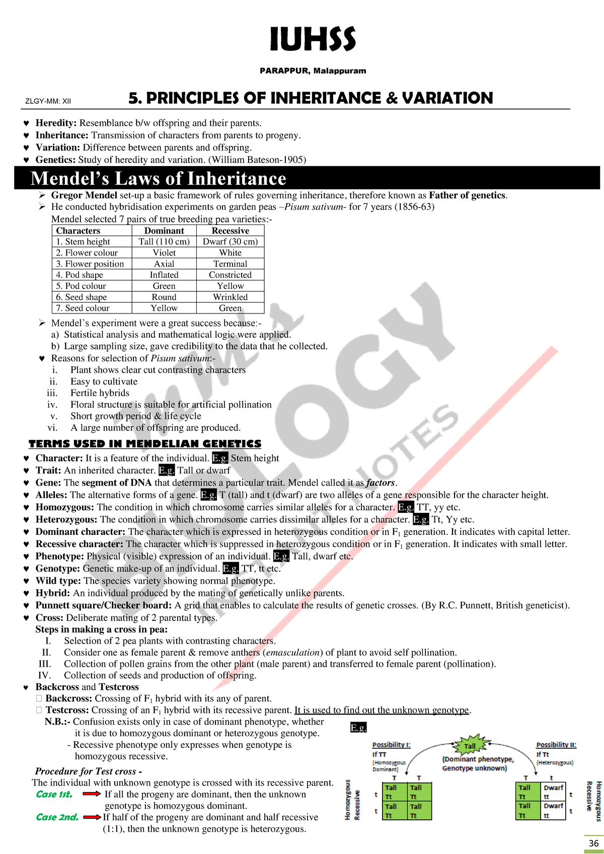 XII Zool Ch5 Principles OF Inheritance Variation hsslive - ZLGY-MM: XII 5. PRINCIPLES OF ...