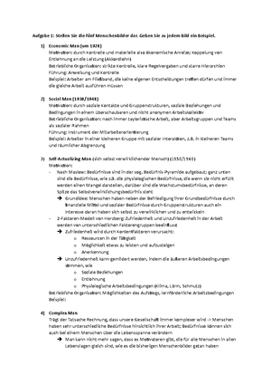 Schriftliche Ausarbeitung - Was ist eine Organisation? Um zu verstehen ...