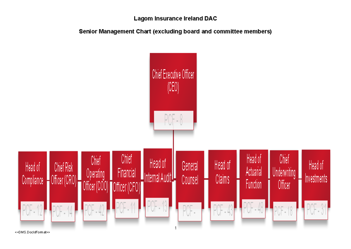 Draft Org Chart - Lagom Insurance Ireland DAC Senior Management Chart ...