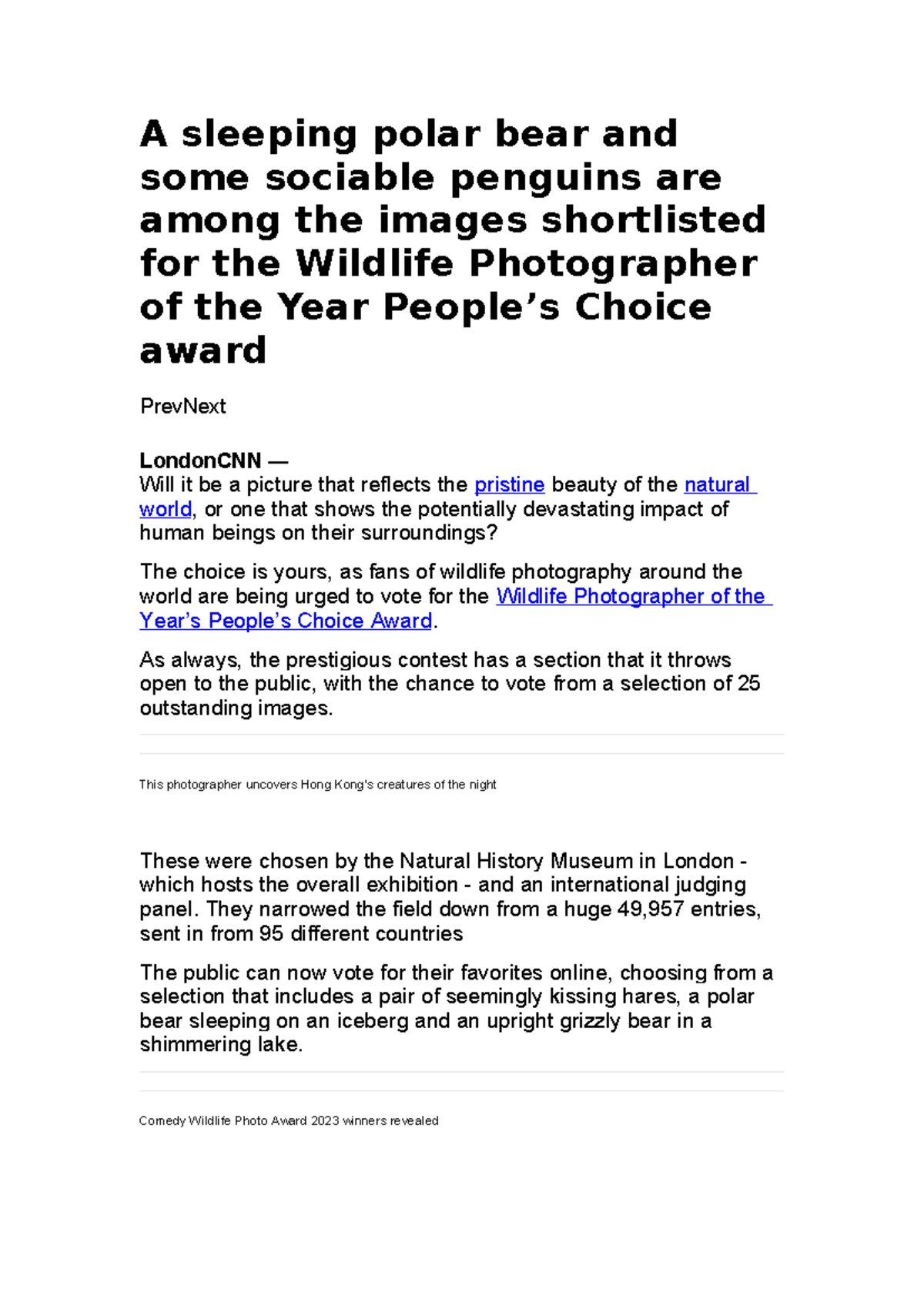 A sleeping polar bear and some sociable penguins a - A sleeping polar ...