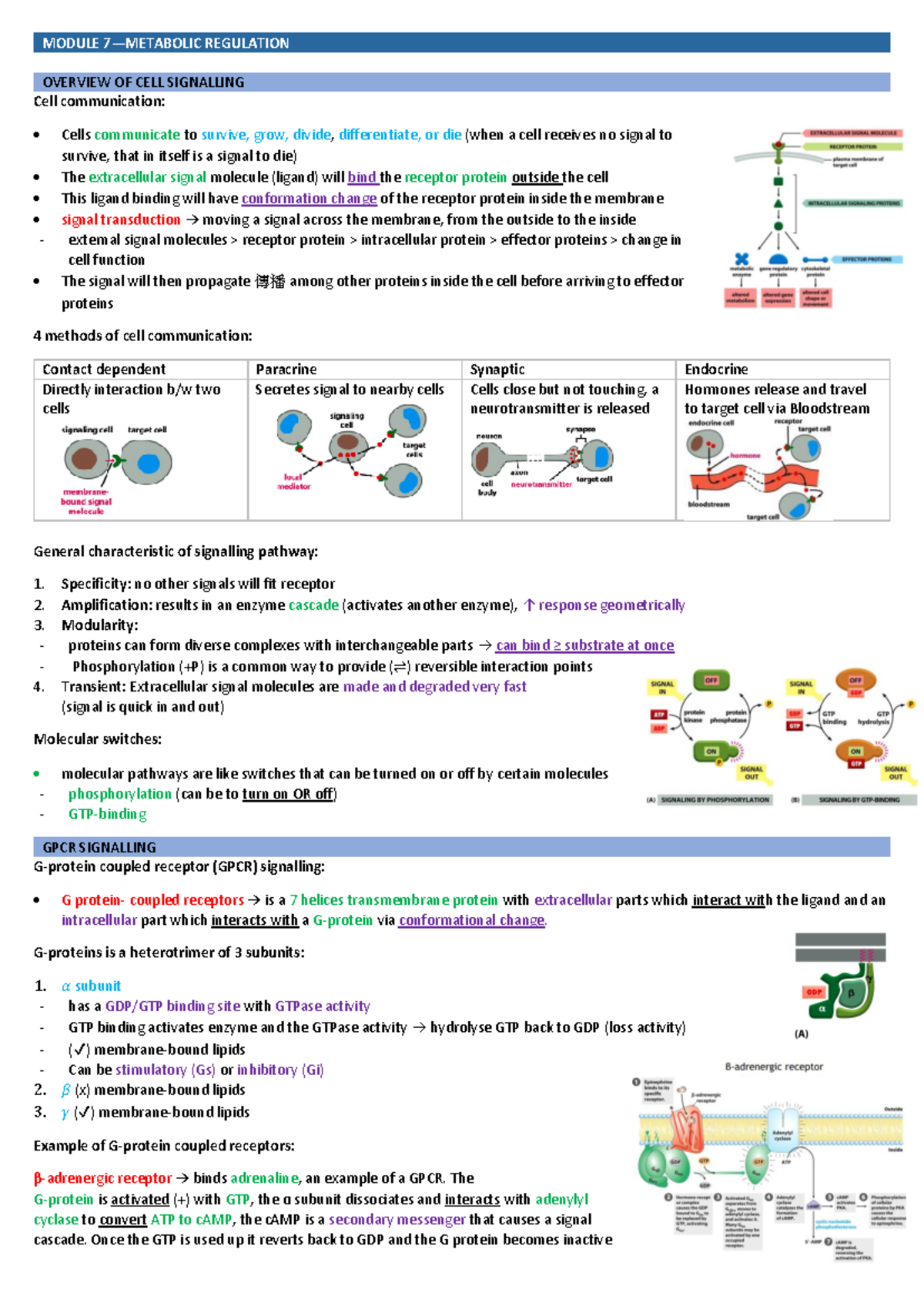 Module 7 - Metabolic regualtion ( Biochem) - MODULE 7—METABOLIC ...