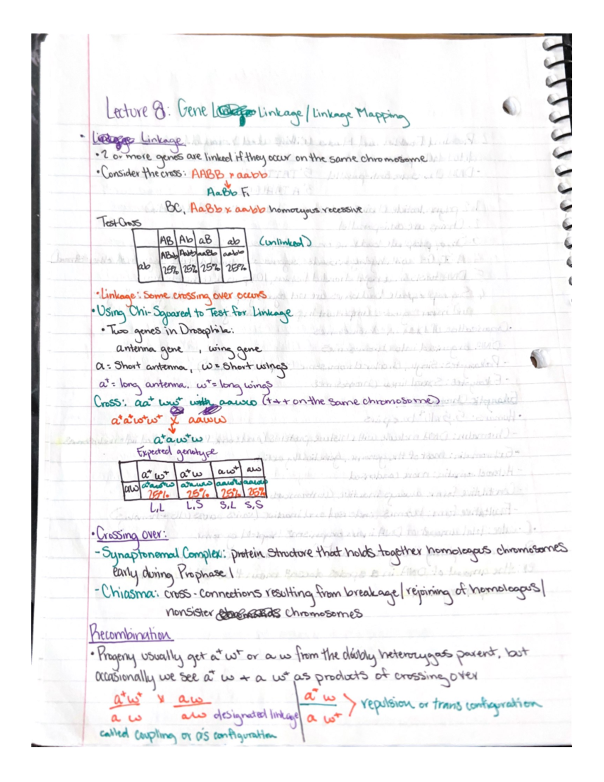 BIO 2450 Lectures 8-11 - BIO 2450 - Studocu