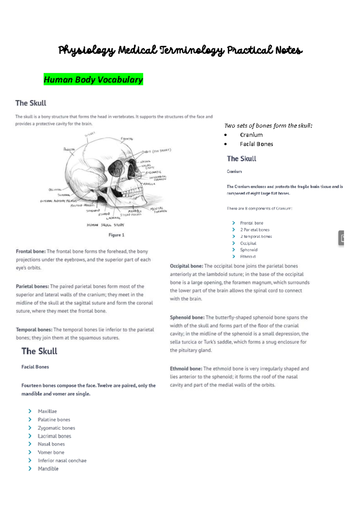 Alison's Physiology Medical Terminology - PHYS1000 - Physiology Medical ...