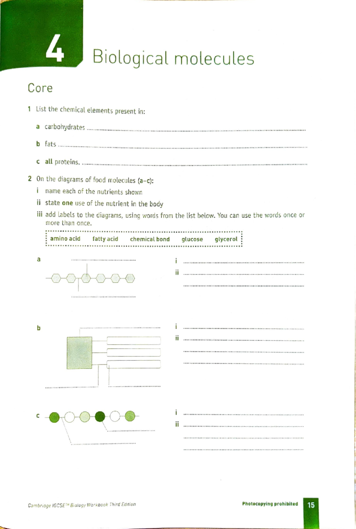 IGCSE Biological molecules worksheet - Biolog ica l molecules Core 1 ...