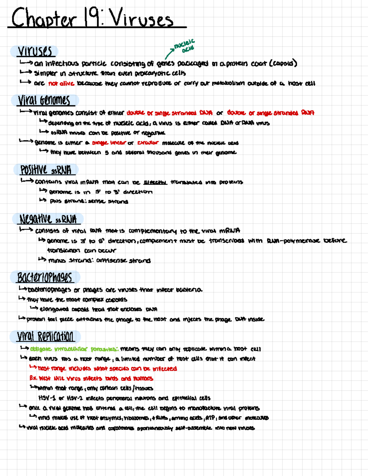 Biology 103 - chapter 19 notes - BIOL103 - Studocu