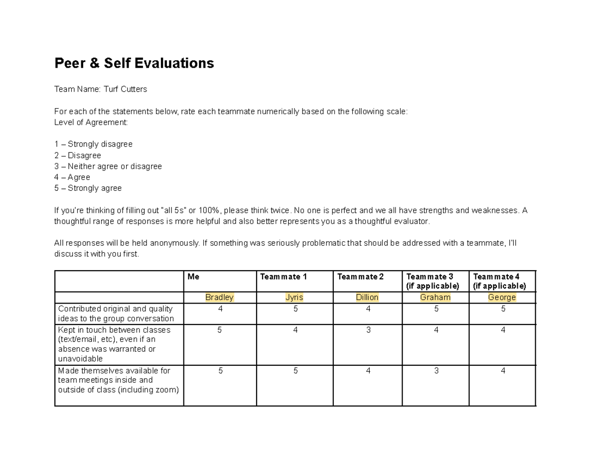 Copy of Self & Peer Evaluations - Peer & Self Evaluations Team Name ...