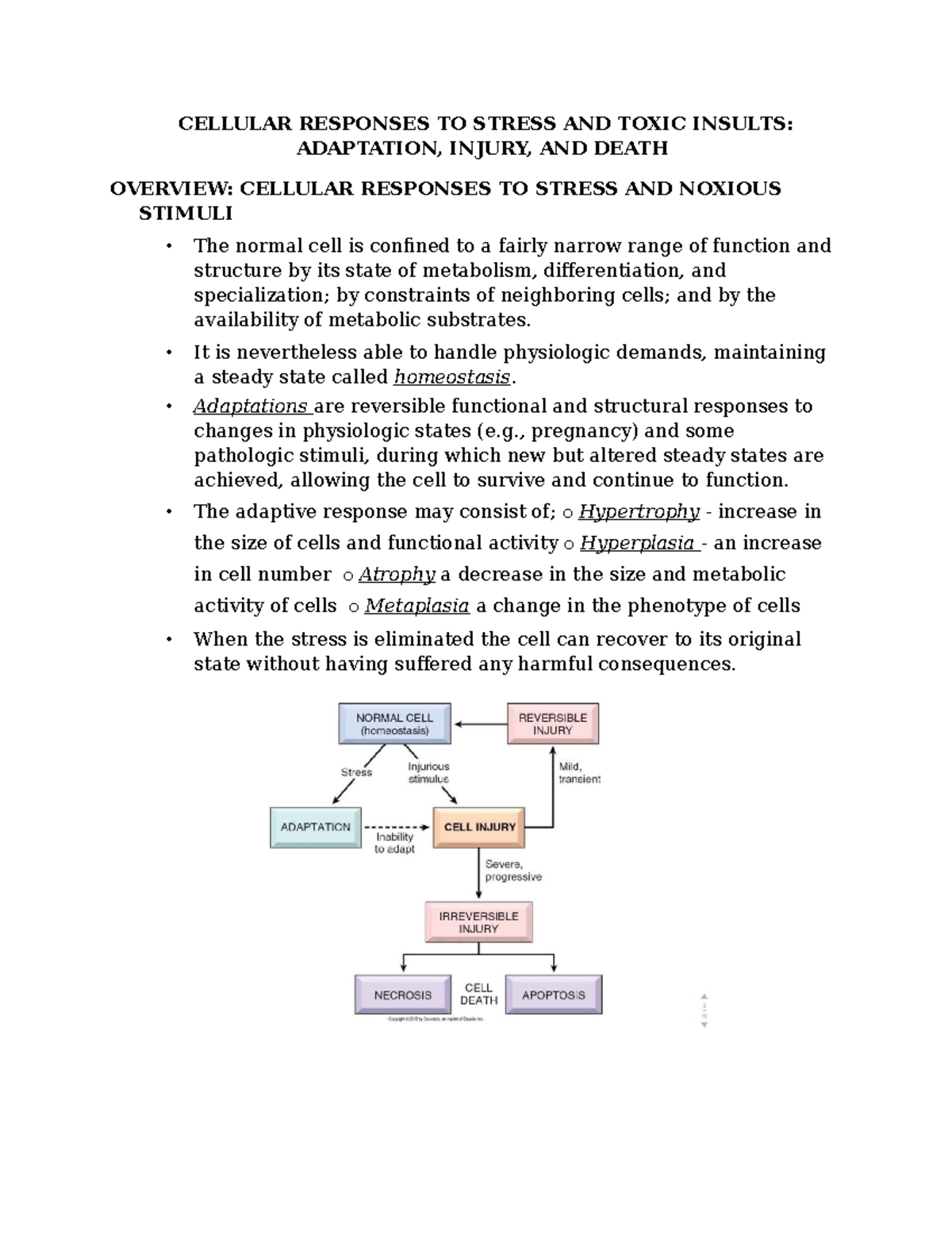 Overview Cellular Responses - CELLULAR RESPONSES TO STRESS AND TOXIC ...