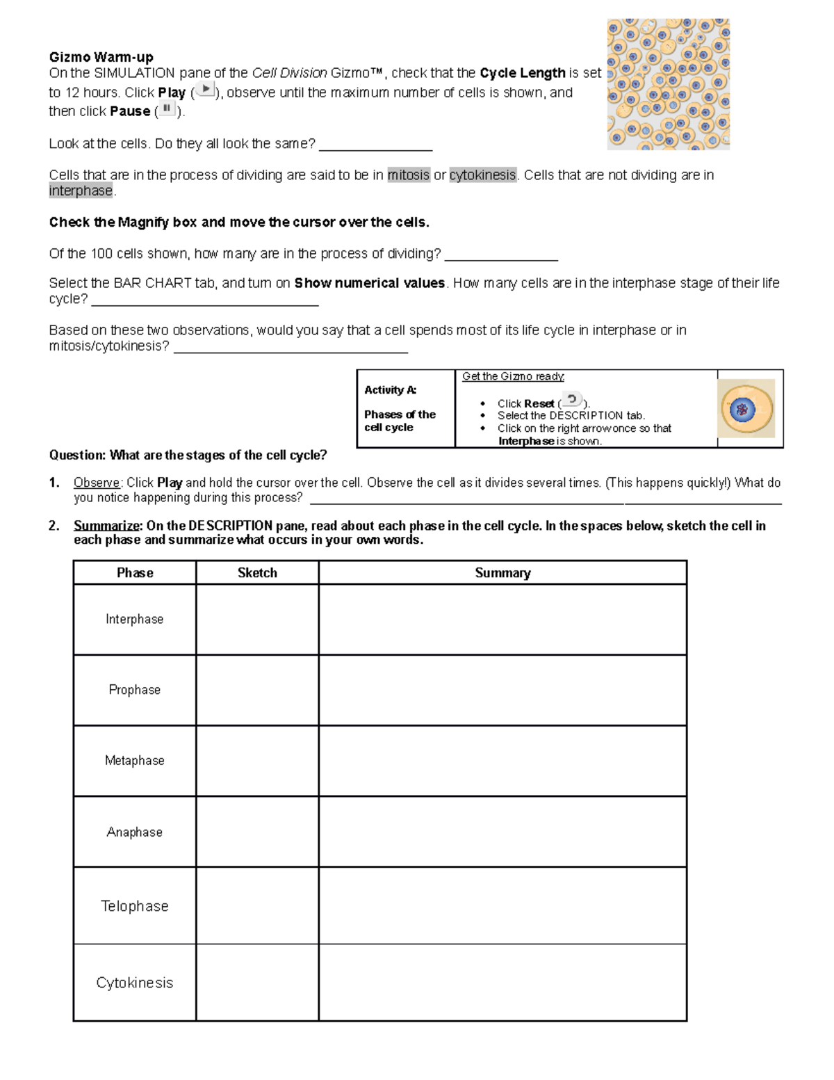 Cell division gizmo activity - Gizmo Warm-up On the SIMULATION pane of ...