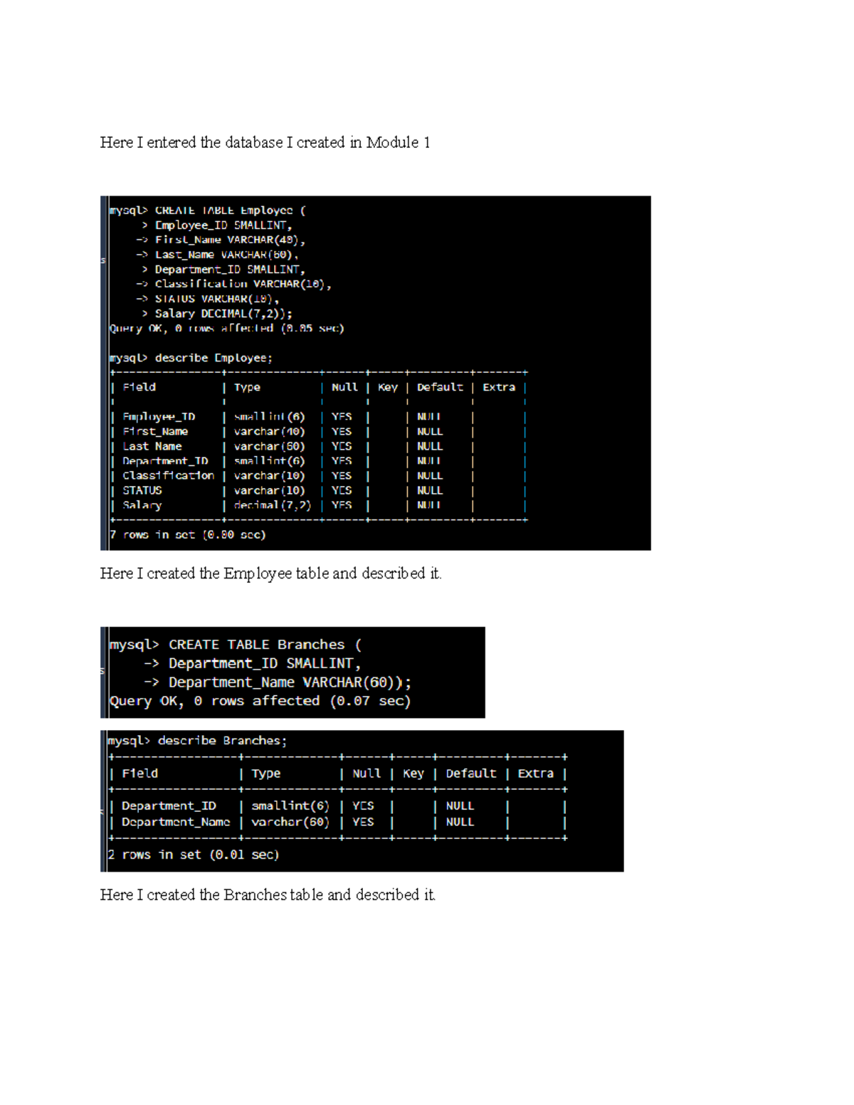 DAD220 - DAD-220 - Here I entered the database I created in Module 1 ...