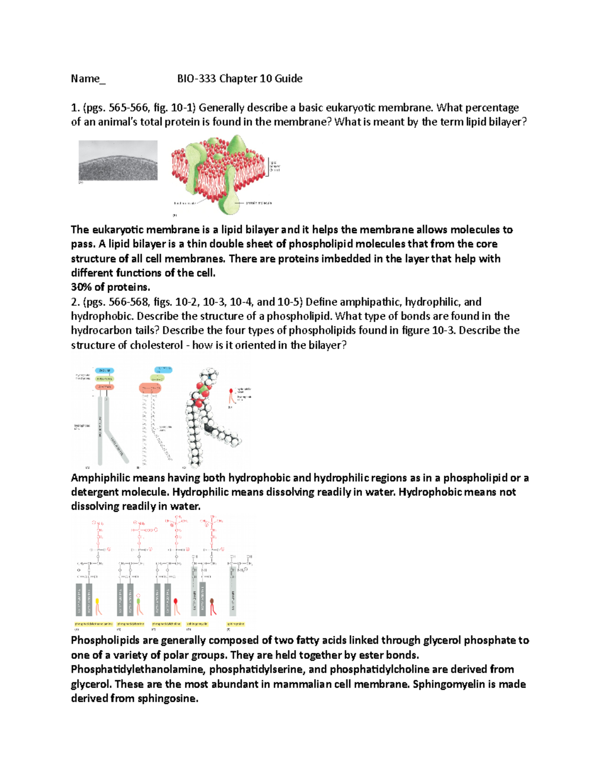 BIO-333 CH10 Guide - Name_ BIO-333 Chapter 10 Guide (pgs. 565-566, fig ...