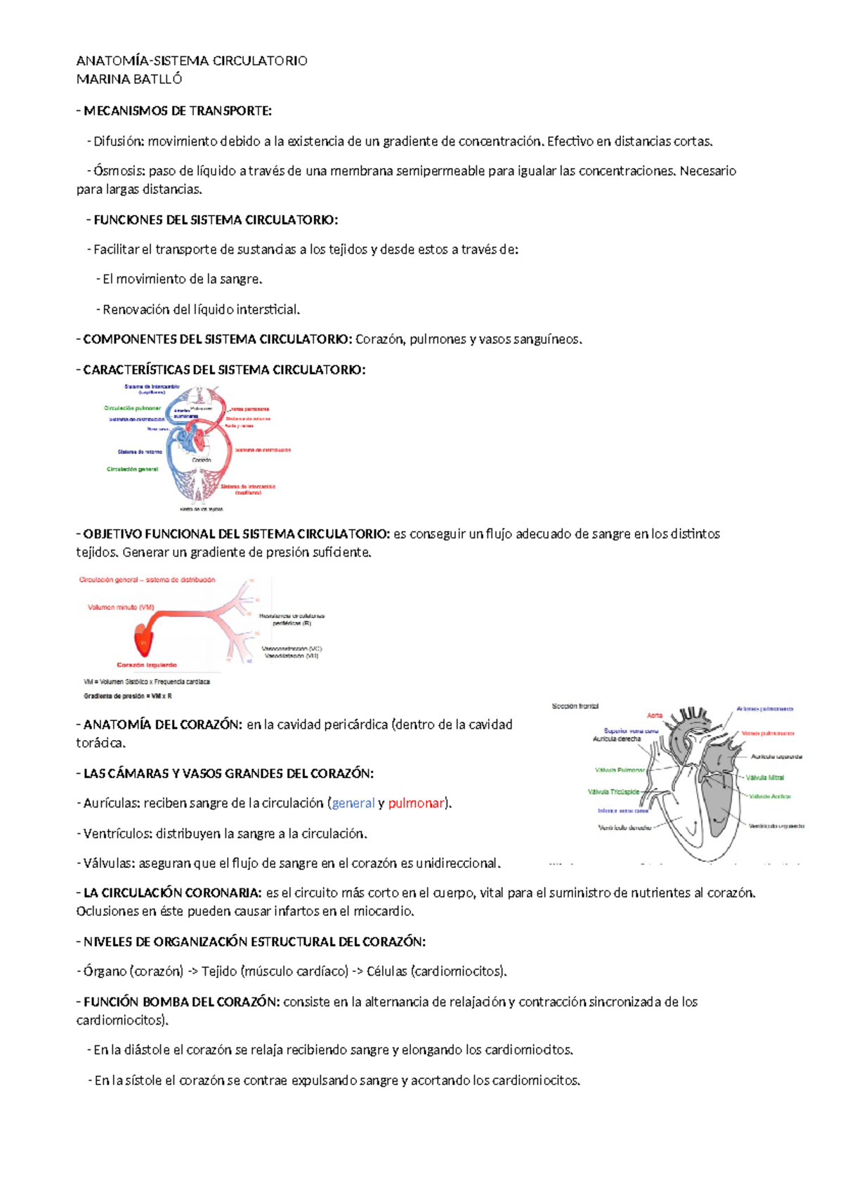 Sistemacirculatorio - Apunts sistema circulatori. - MARINA BATLLÓ - MECANISMOS DE TRANSPORTE ...