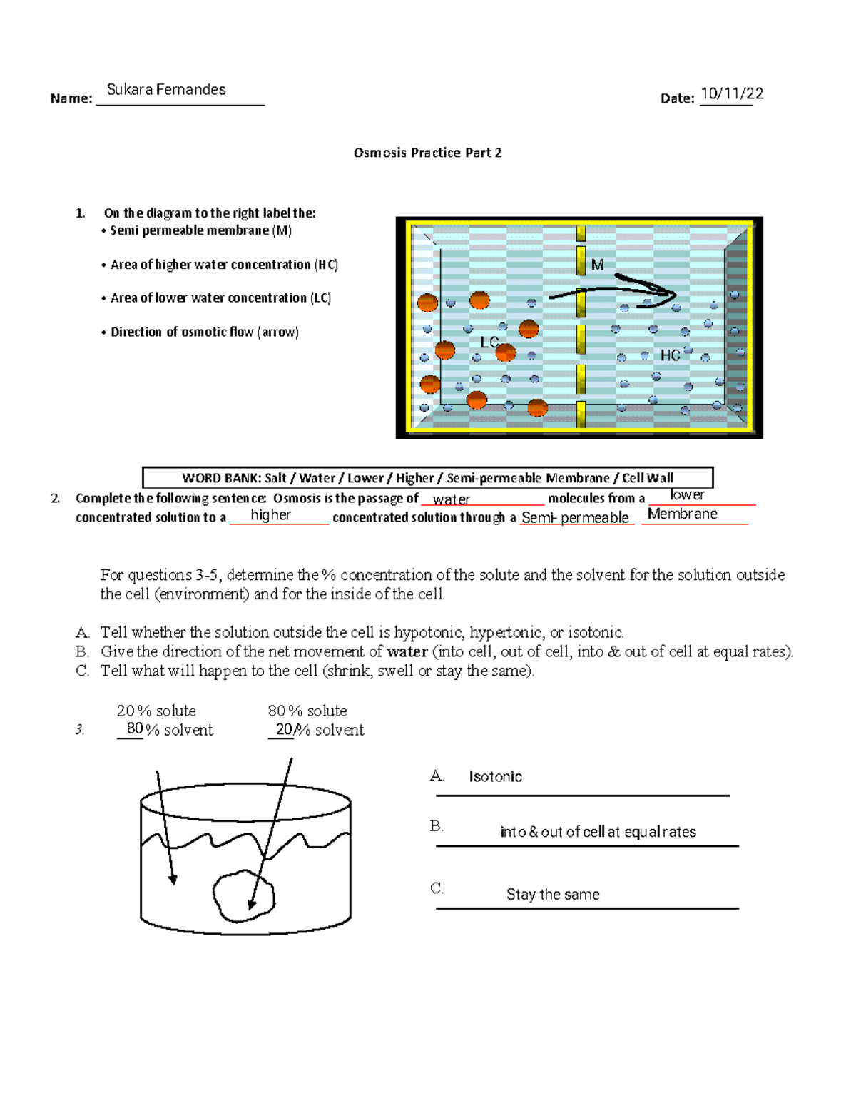 Sukara Fernandes - Osmosis Practice Part 2 - Name ...