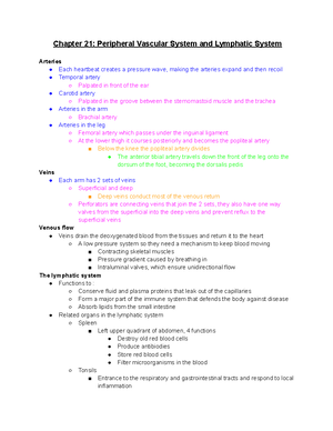 Ch17 The Endocrine System - 17 The Endocrine System Objectives In this ...