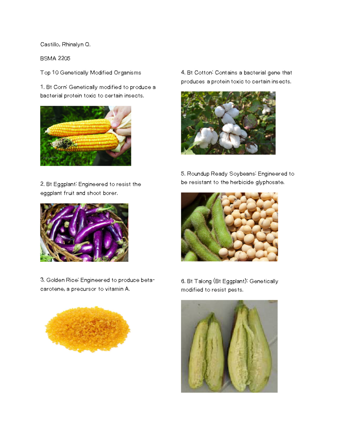 Castillo-Rhina-WPS-Office - Castillo, Rhinalyn Q. BSMA 2205 Top 10 Genetically Modified ...