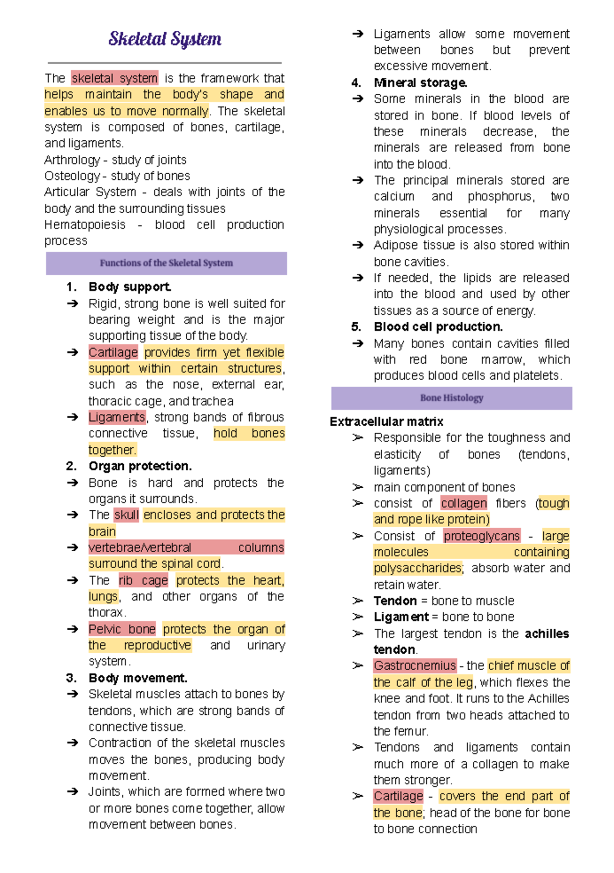 Skeletal System - Skeleta Syste The skeletal system is the framework ...