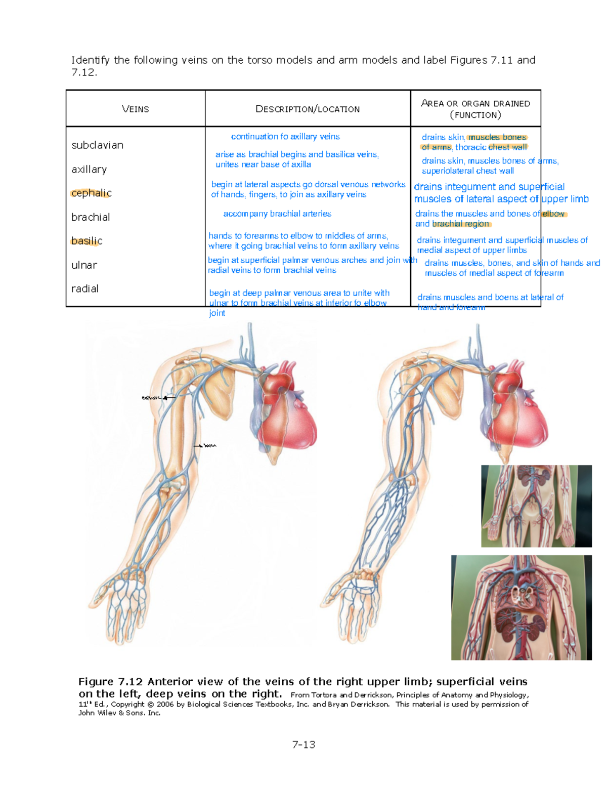 LAB 7 - CVS 4 - Lab 7 - CVS Answer Key - 7- Identify the following ...