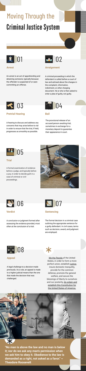 CJ 207 4-2 Project One Template - CJ 207 Project One Template The Court ...