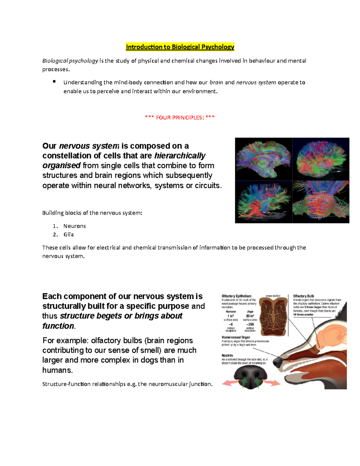 PSY1011_Intro to Bio Psych - Introduction to Biological Psychology ...