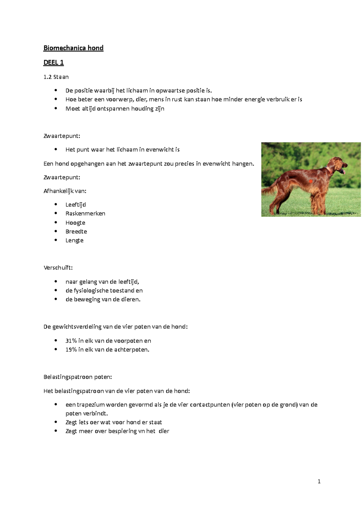 Biomechanica hond - Biomechanica hond DEEL 1 1 Staan De positie waarbij ...