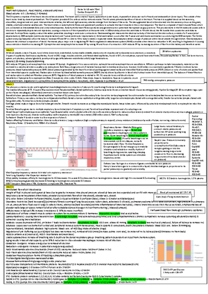 HUBS1404 cheat sheet - RESPIRATORY UPPER- nose, nasal cavity, pharynx ...