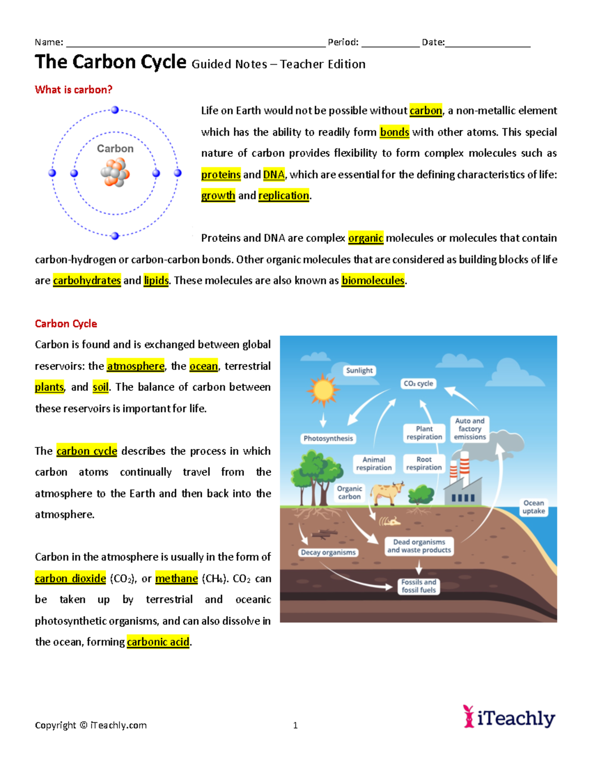 6 8 Guided Notes TE The Carbon Cycle - The Carbon Cycle Guided Notes ...