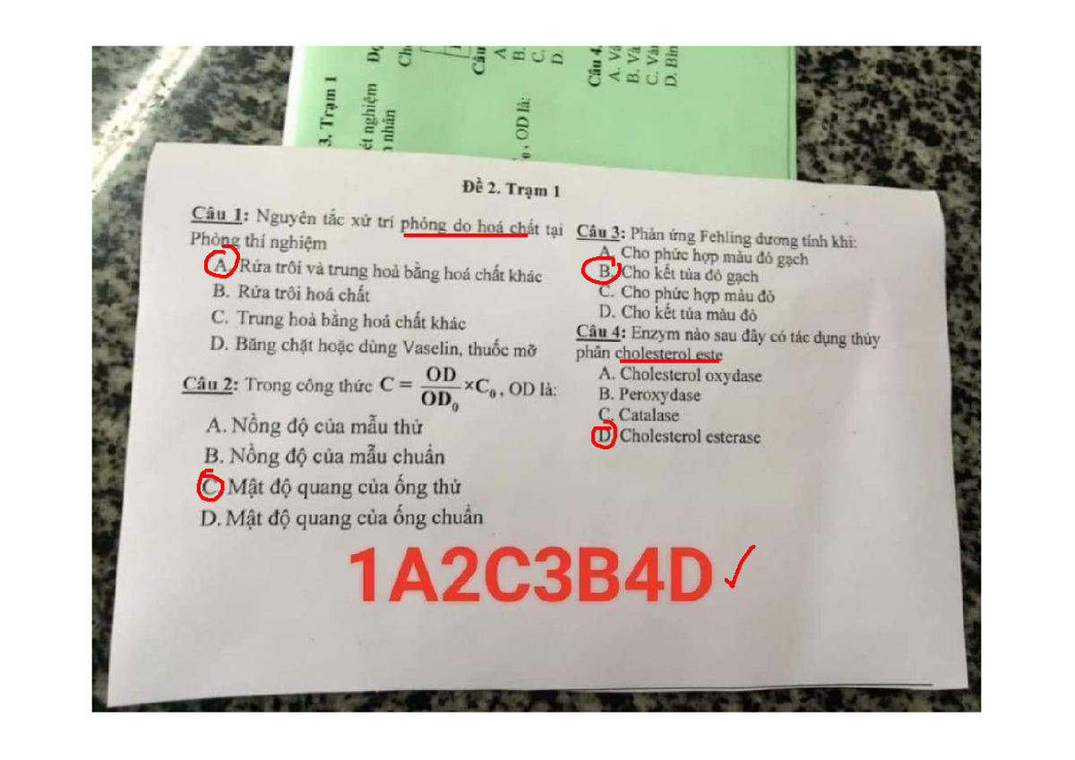 Thực tập hóa sinh đề cũ - Thực tập hóa sinh đề cũ - Hóa sinh - Studocu