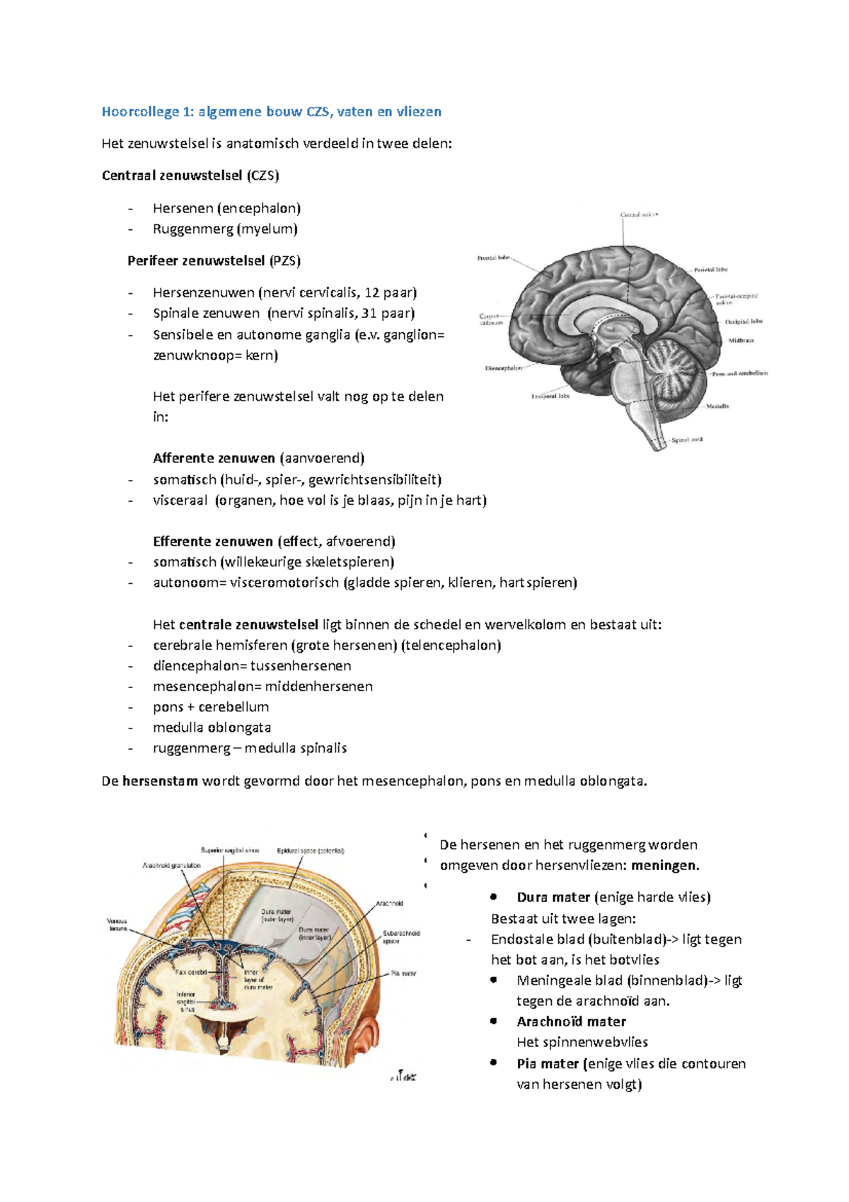 Hoorcollege 1, CZS, vaten en vliezen - Hoorcollege 1: algemene bouw CZS ...