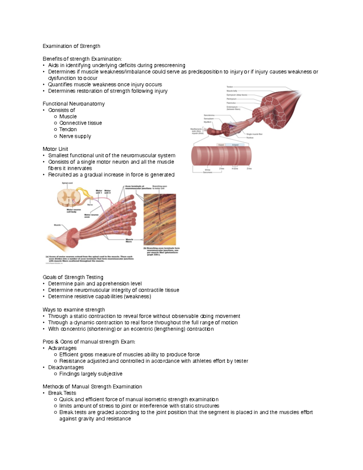 Strength Examination - Examination of Strength Benefits of strength ...