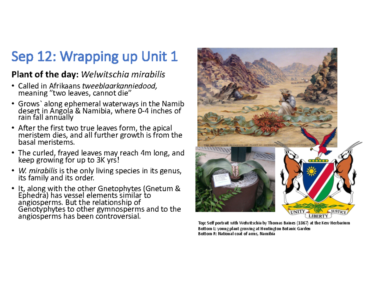 09 - LEcture notes from biology class - Sep 12: Wrapping up Unit 1 ...