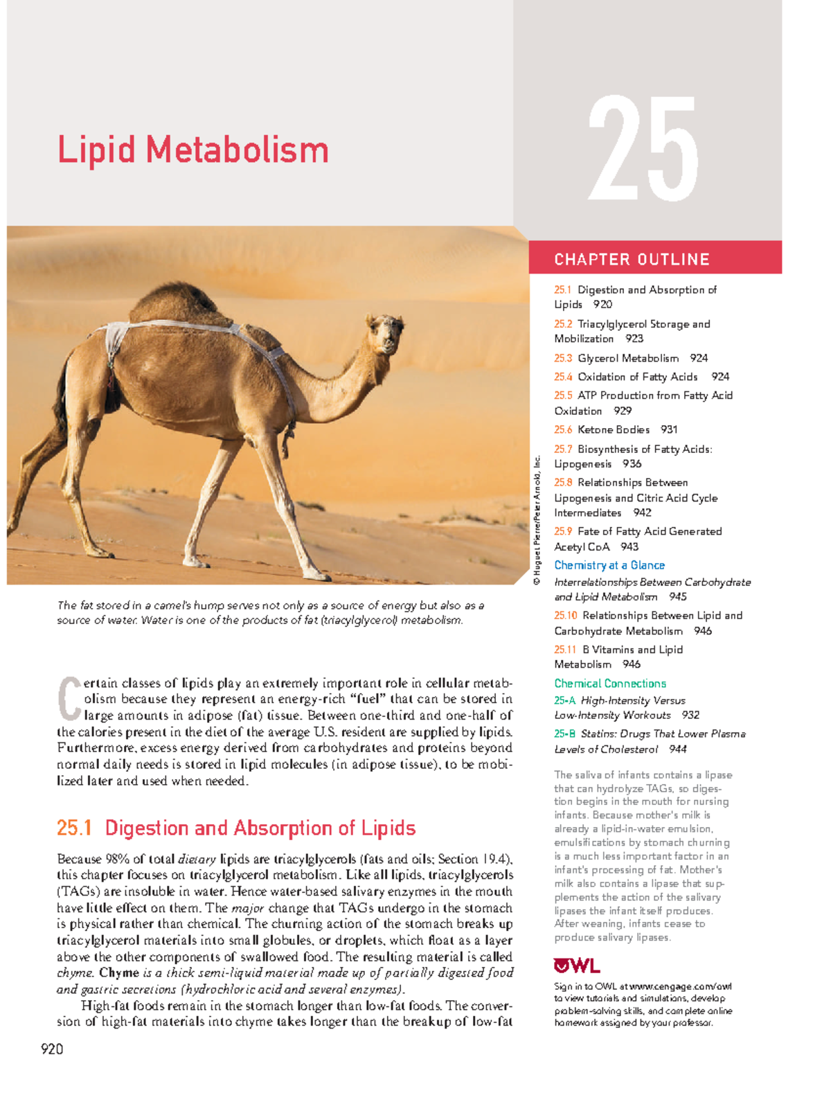 Lipids Metabolism - ####### 920 Sign in to OWL at cengage/owl to view ...