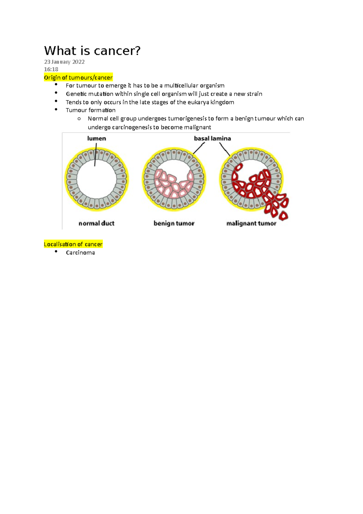 Introduction to cancer, oncogenes, and tumorigenesis - What is cancer ...