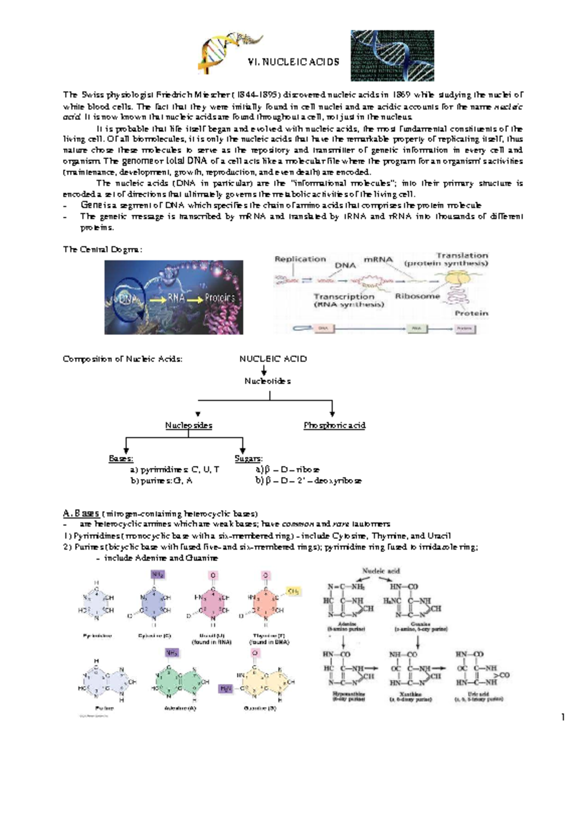 8 - Nucleic Acids - Learning Material - VI. NUCLEIC ACIDS The Swiss ...