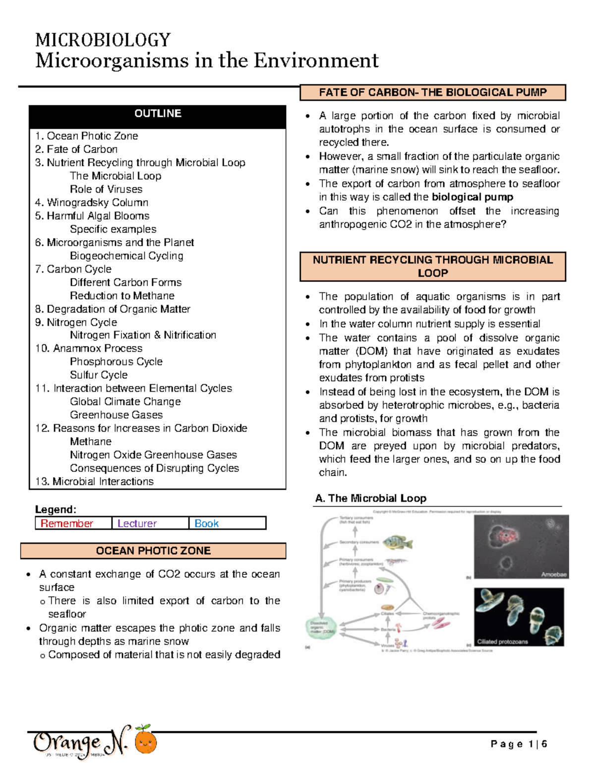 Bio425 Module 12 Microorganisms in the Environment-Notes - MICROBIOLOGY ...