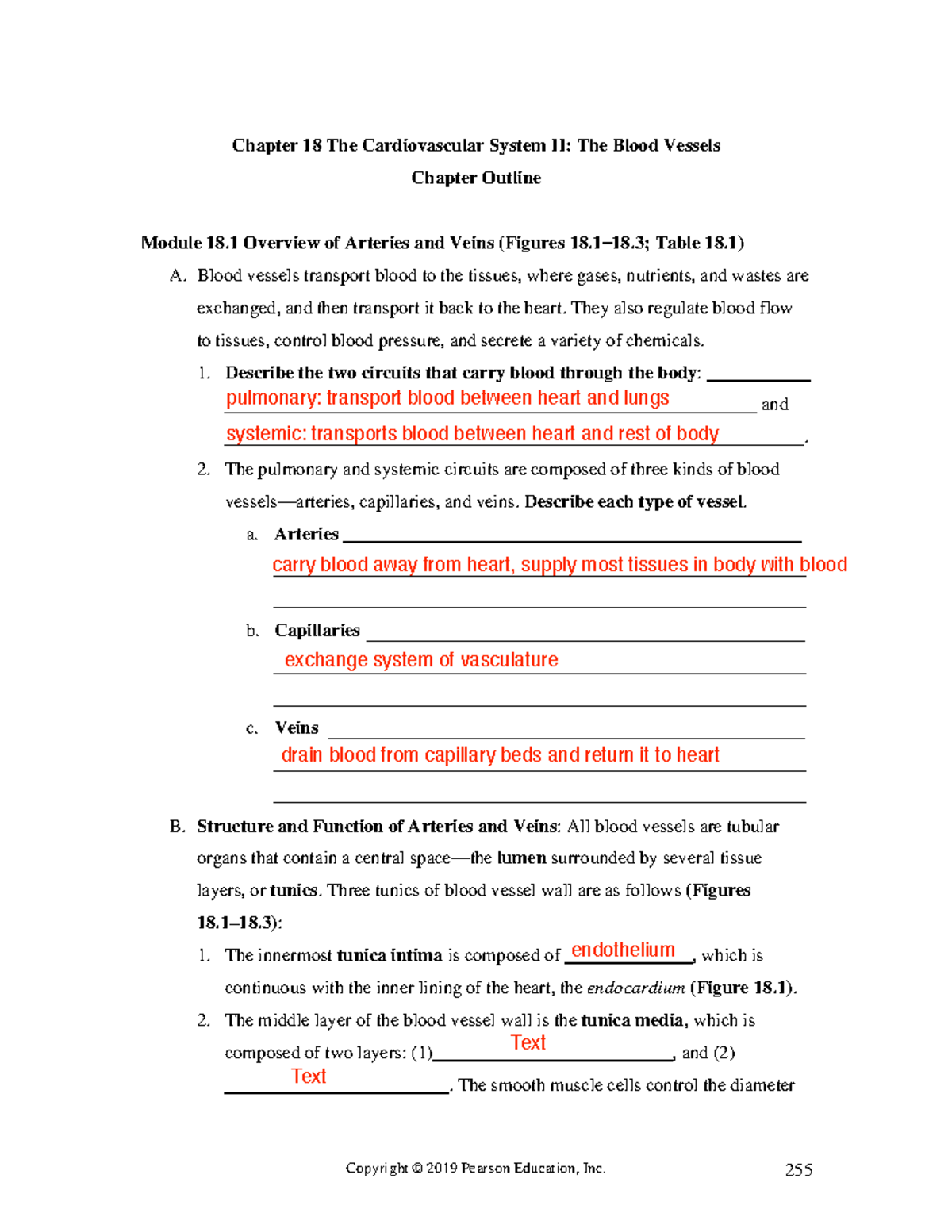 Chapter 18 Student Notes Extra Credit - Chapter 18 The Cardiovascular ...