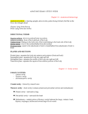 Medication - Gentamicin - ACTIVE LEARNING TEMPLATES Medication STUDENT ...