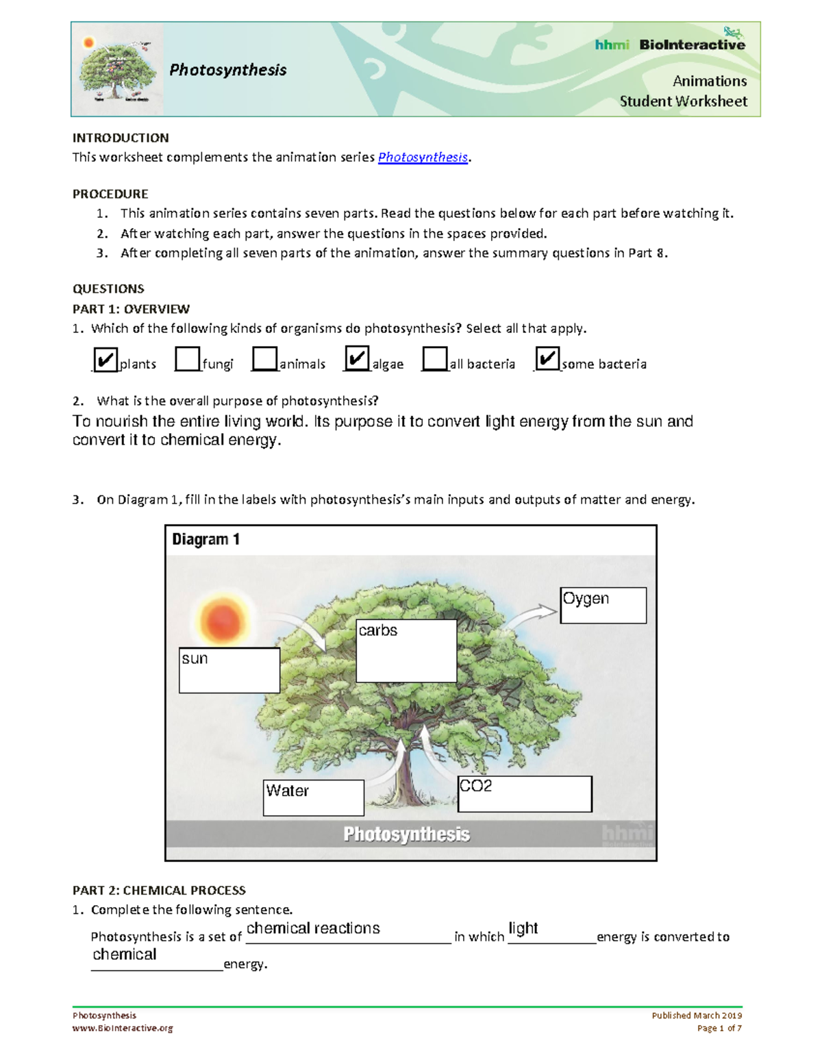Photosynthesis-Student WS-animation - Photosynthesis Published March ...